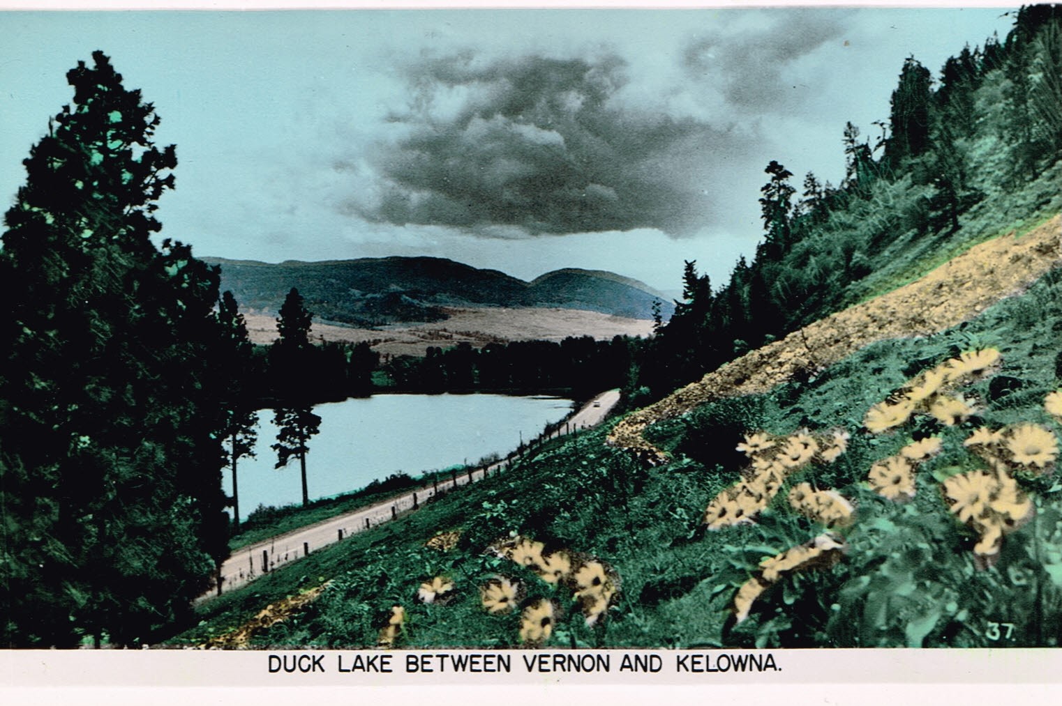 Vintage hand-tinted postcard of Duck Lake | Lake Country Museum & Archives